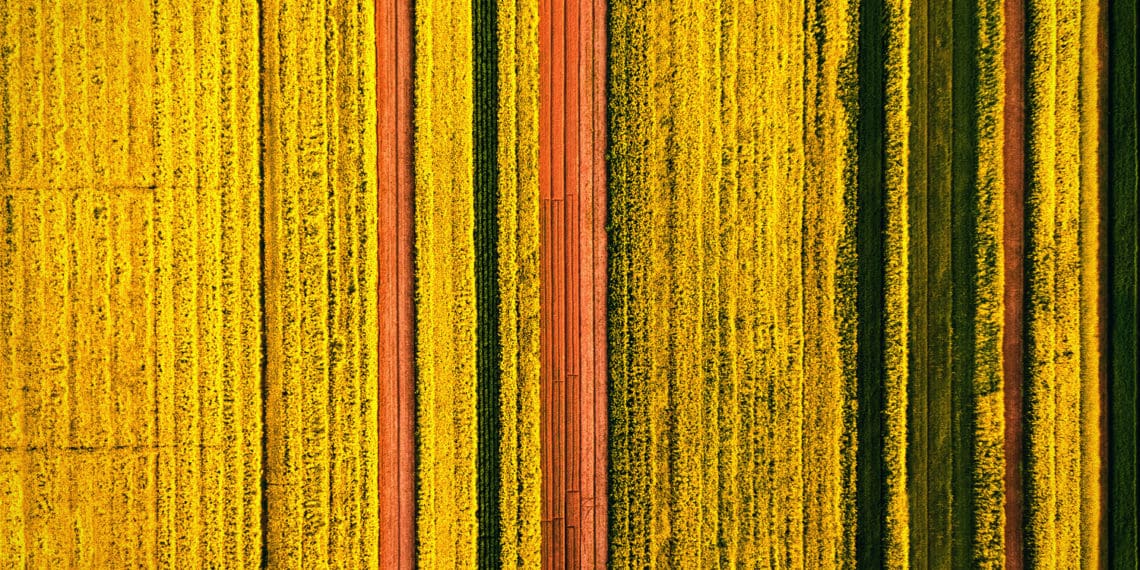 Alym Rayani, Author at Corporate Compliance Insights